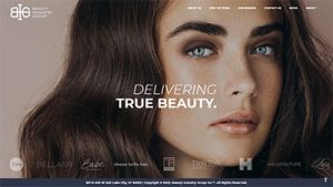 Shopify Partner, eCommerce Web Development Company in India